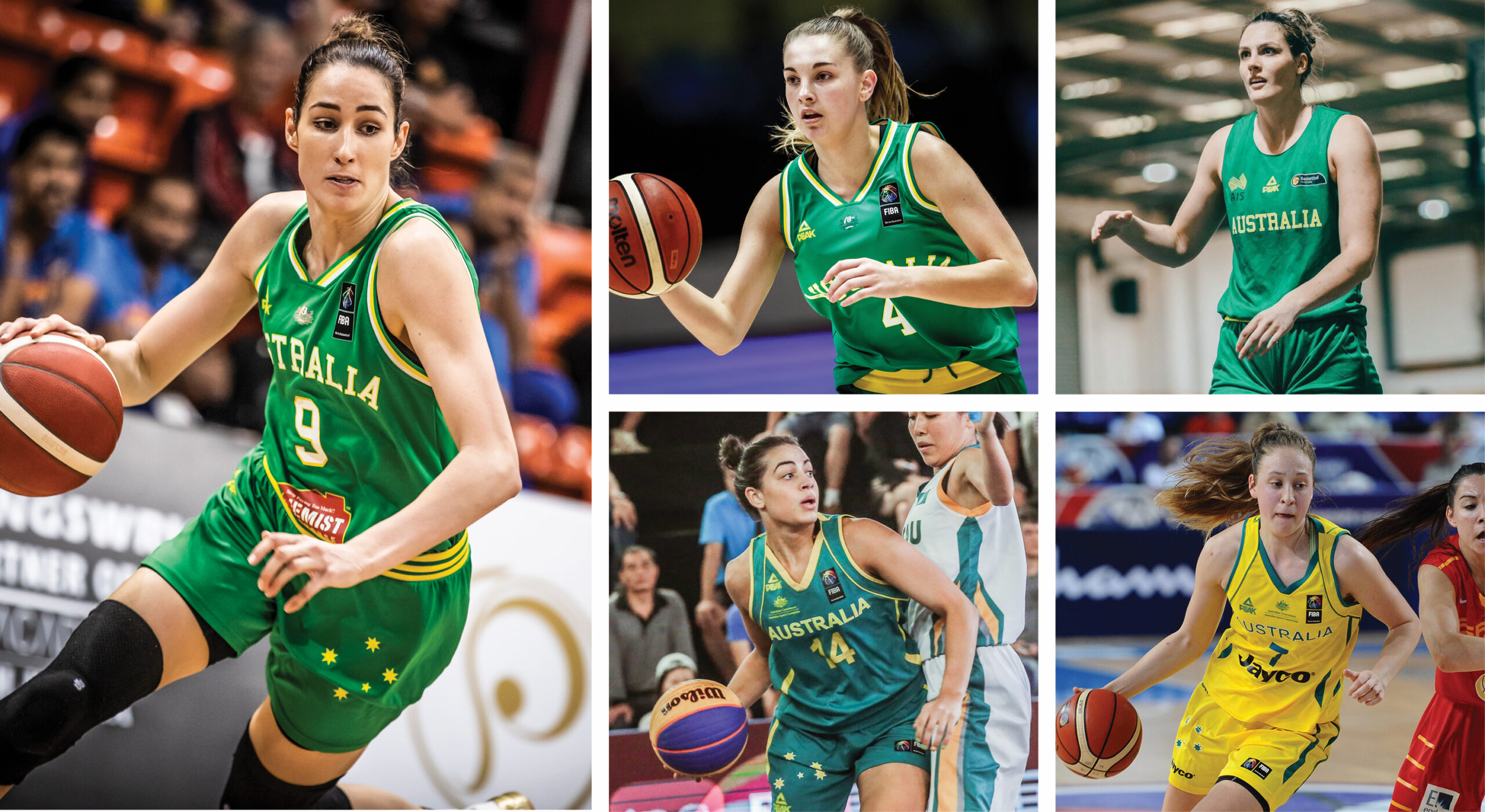 Allen, Shelley, Rocci, Sharp and Scherf earn Opals call up