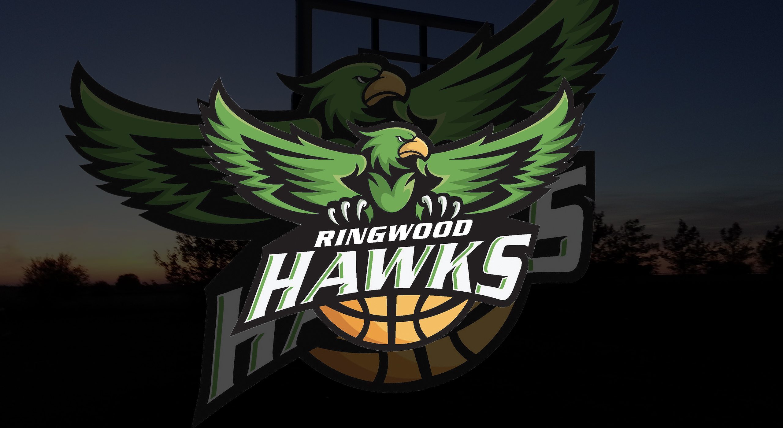 Hawks seeking new VYCW head coach