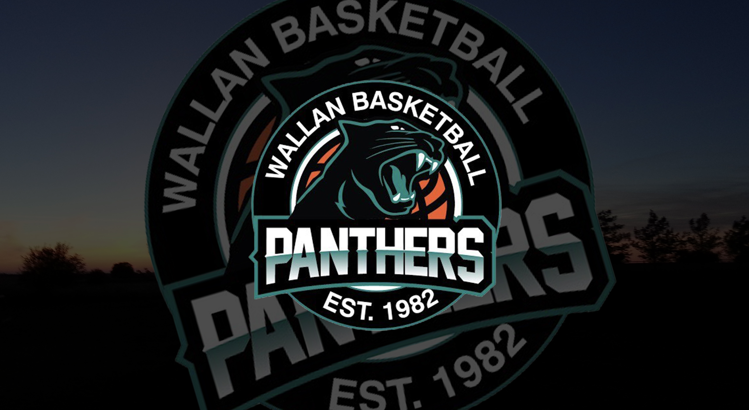 Wanted: Wallan Basketball - Men’s Big V Division 2 Head Coach